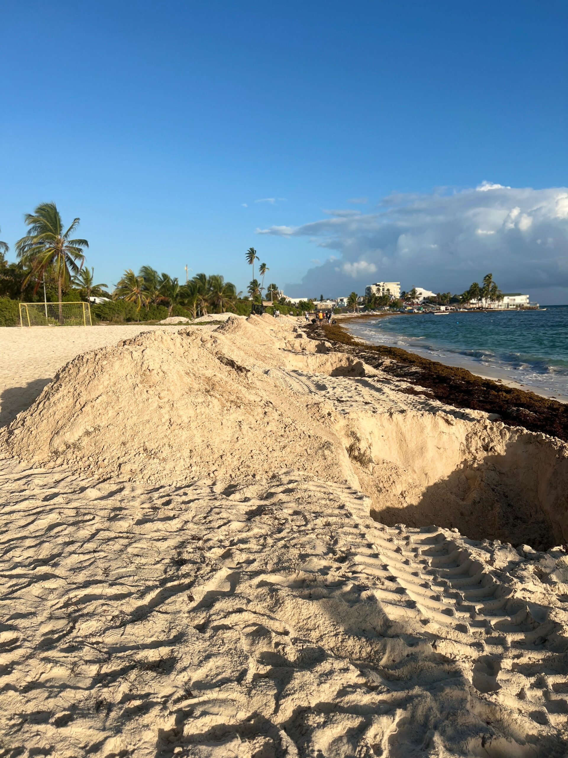 Teleislas News - Llega la temporada del sargazo al archipiélago - Teleislas